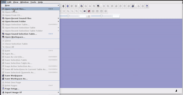 Bioacoustic data analysis with R 2024 - Import annotations into R