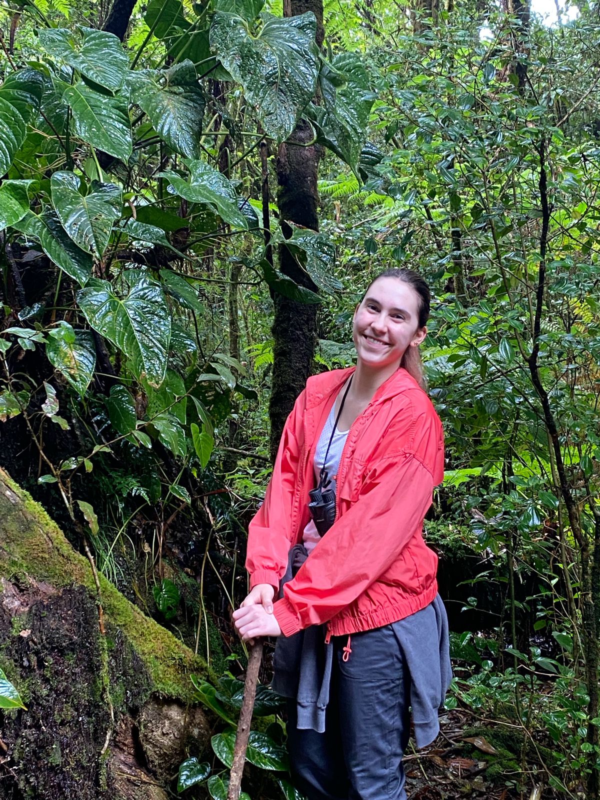 Jimena Viquez | Marcelo Araya-Salas