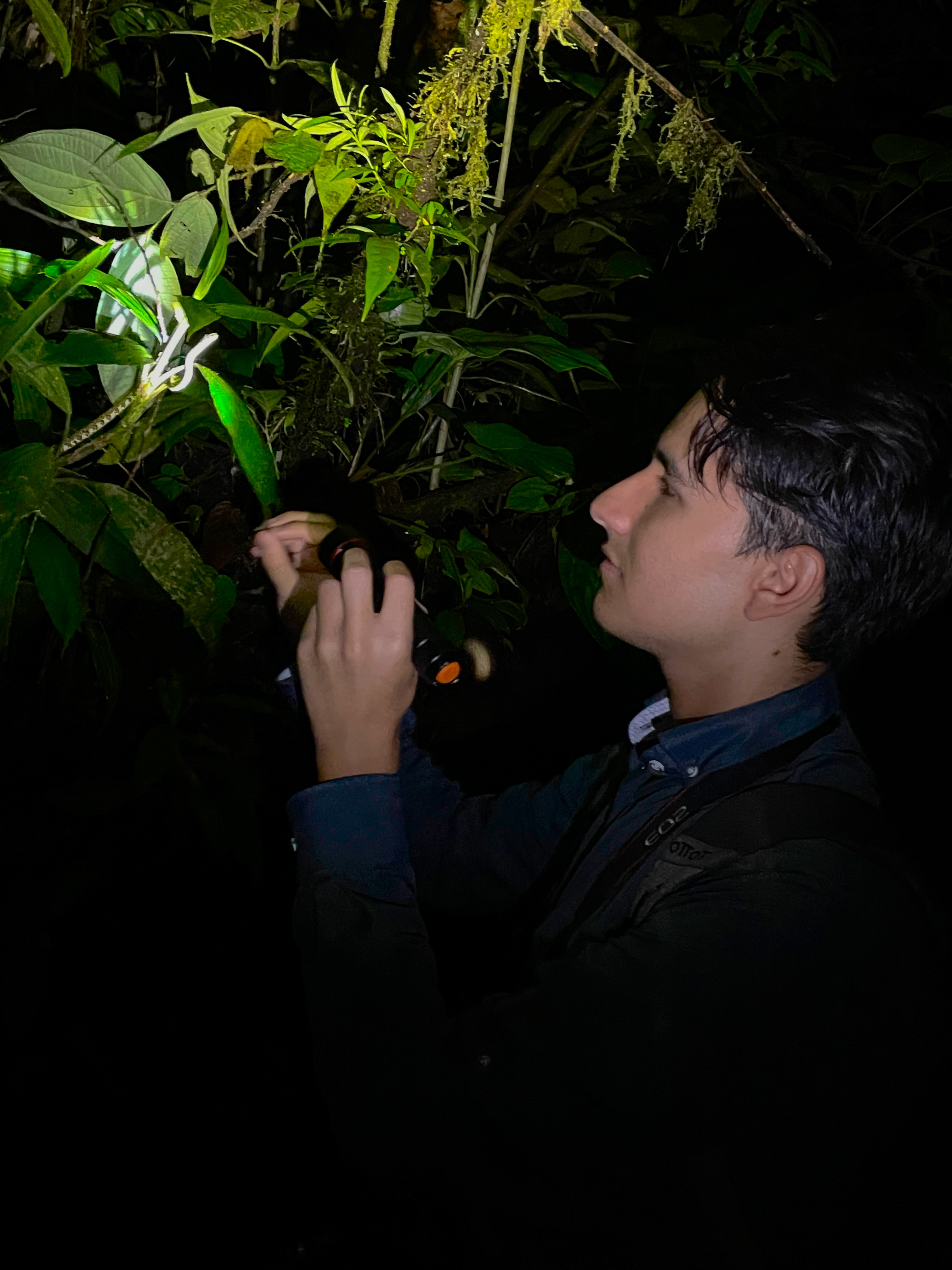 Jorge Elizondo-Calvo | Marcelo Araya-Salas