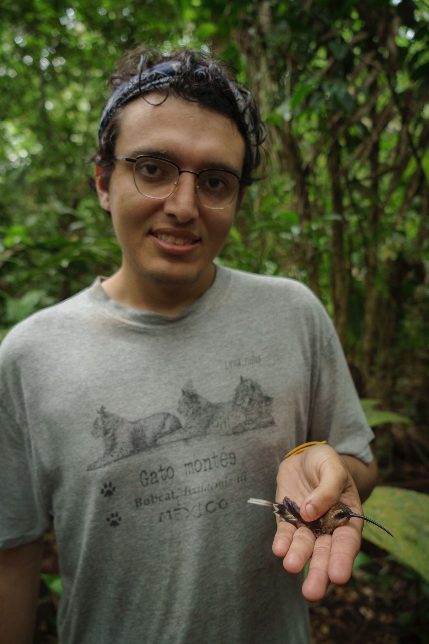 Marcos Quiroz-Oliva | Marcelo Araya-Salas